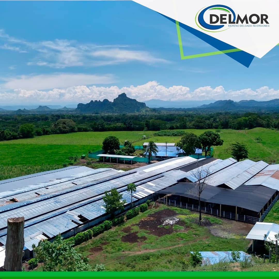 Delmor – Limpieza y Desinfección